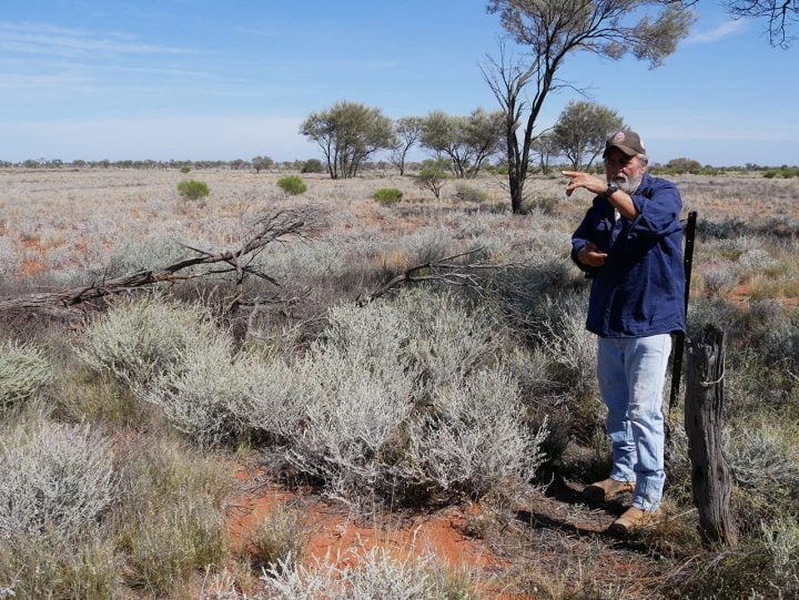Maralinga Update June 2018 | Maralinga Tours